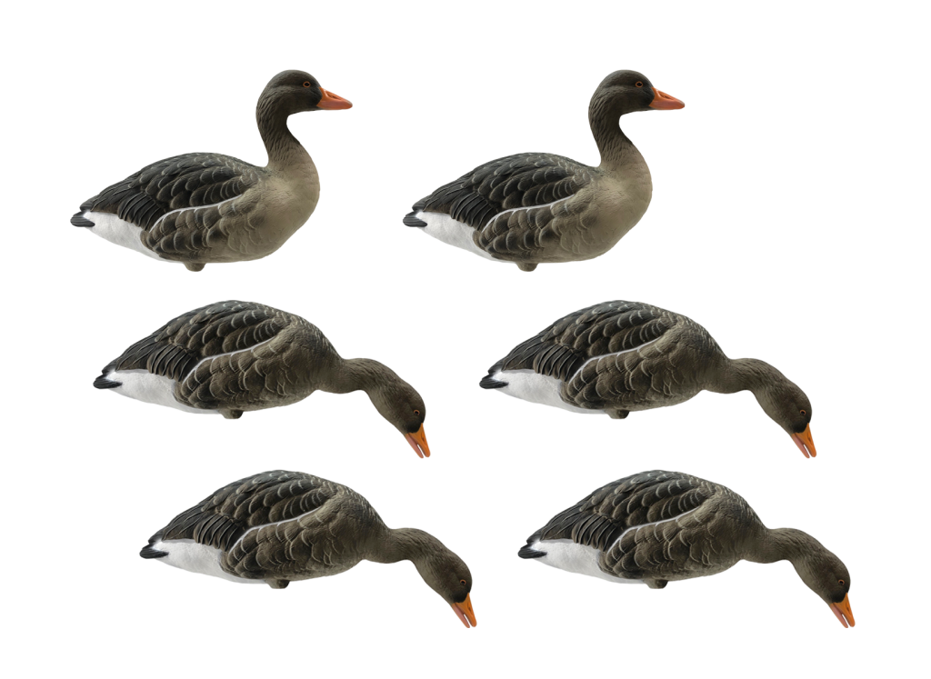 Final Approach Full Body Painted Greylag Goose, 6 pack - Hunter's ...